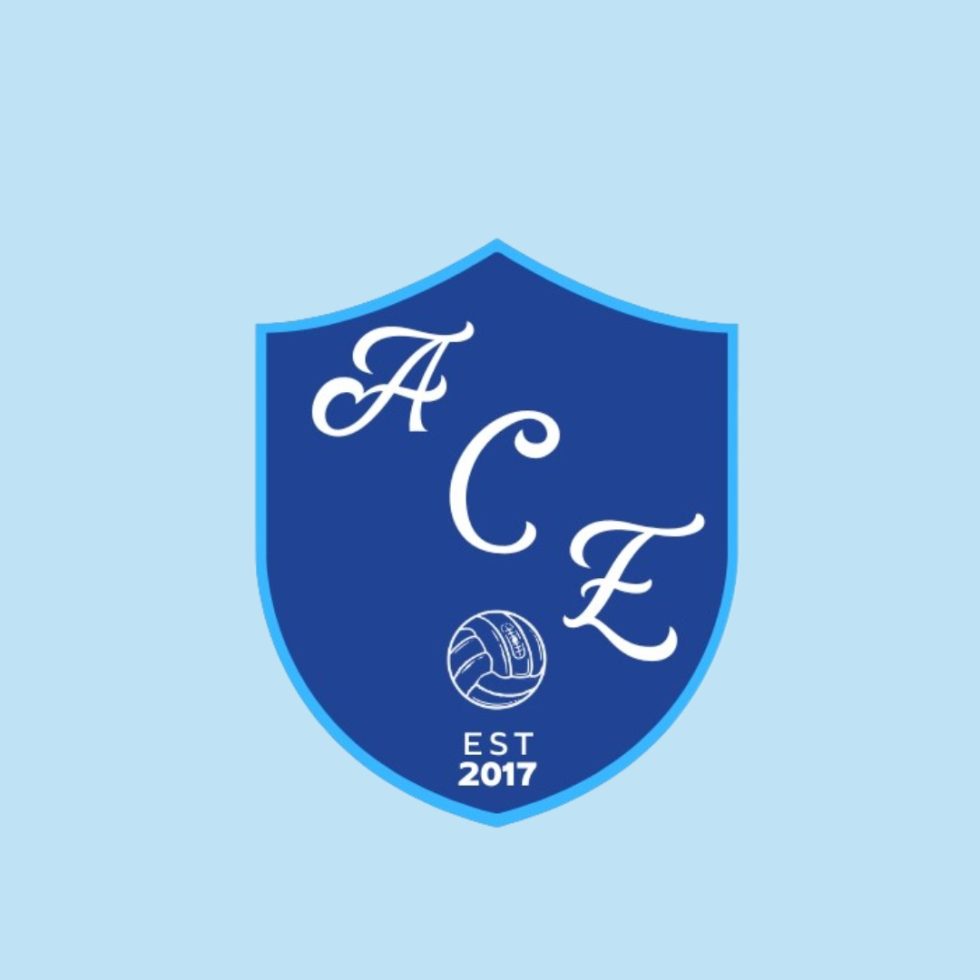 Advanced Coaching Education | ACE Academy